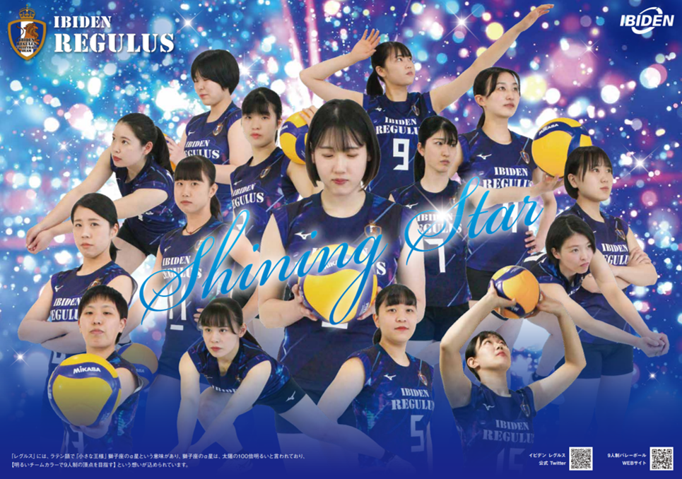 Sports Activities | About IBIDEN | IBIDEN CO.,LTD.